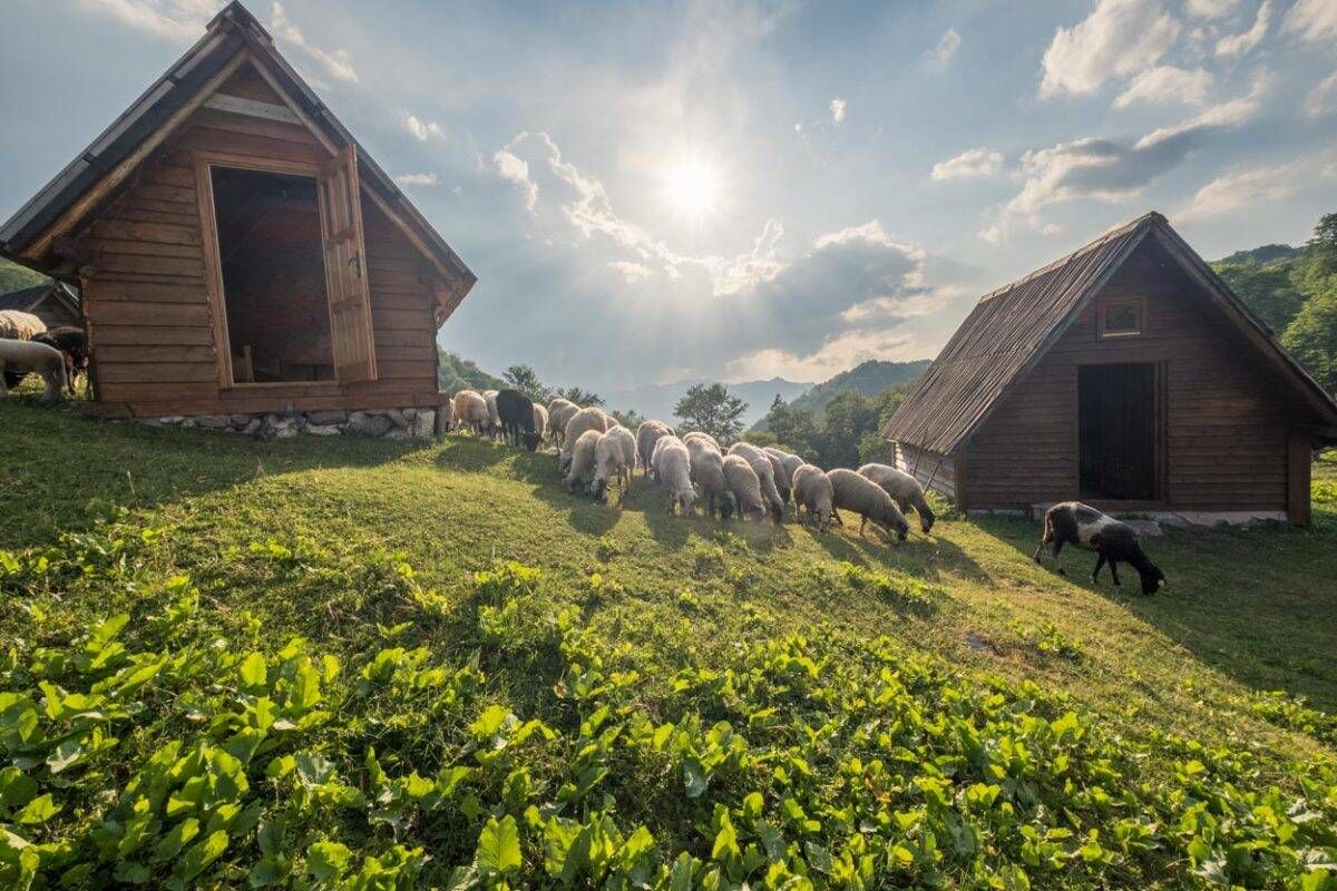 Organic Adventure: Montenegro Farm Stay Coming to Life | Montenegro
